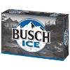 Busch Ice Beer - 24pk/12 Fl Oz Cans : Target