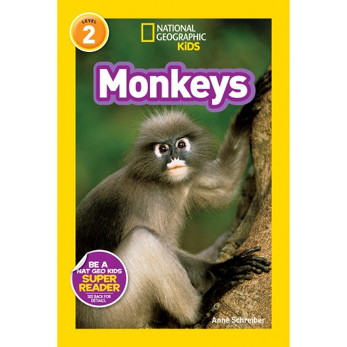 Monkeys (paperback) By Anne Schreiber : Target
