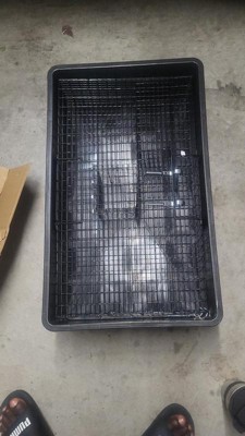 Rugged Ranch Ratinator No Poison, Multi-catch Live Animal Rat Catch And ...