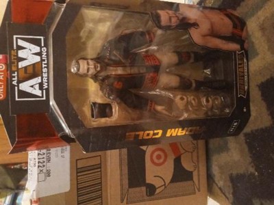 Aew Unrivaled Collection Adam Cole Action Figure (target Exclusive ...