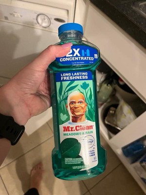 Mr. Clean Meadows & Rain Dilute Multi-surface Cleaner - 41 Fl Oz : Target
