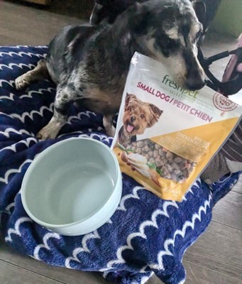 Freshpet Select Grain Free Small Wet Dog Chicken And Vegetable Recipe ...