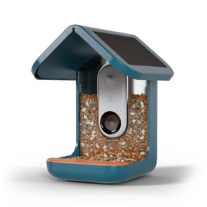 Bird Buddy Smart Bird Feeder With Camera And Solar Roof : Target