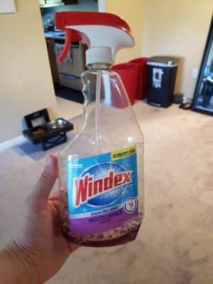 Windex Citrus Fresh Disinfectant Cleaner Multi-surface Spray - 26 Fl Oz ...