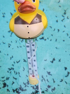 Poolmaster Floating Thermometer For Swimming Pools And Spas - Clown ...