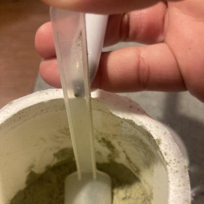 Bloom Nutrition Greens And Superfoods Powder - Mango - 5.97oz/30ct : Target