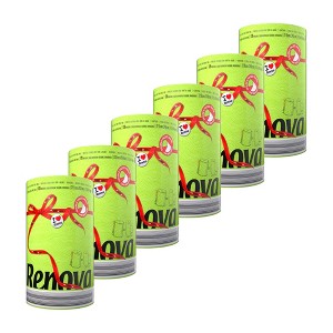 Renova Lime Green Paper Towels, 6 Roll Stock-Up Pack, 2-Ply Jumbo Rolls ...