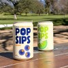 Pop Sip Spiked Prebiotic Soda Variety - 8pk/7.5 fl oz Cans : Target