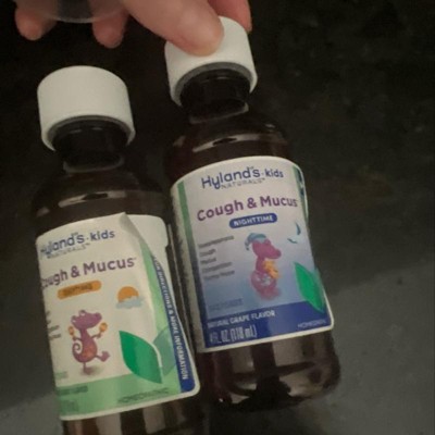 Hyland's Naturals Kids' Cough & Mucus Combo Pack Syrup - Grape - 8 Fl ...