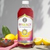 Synergy The Real Kombucha, Lemon Berry - 48oz : Target