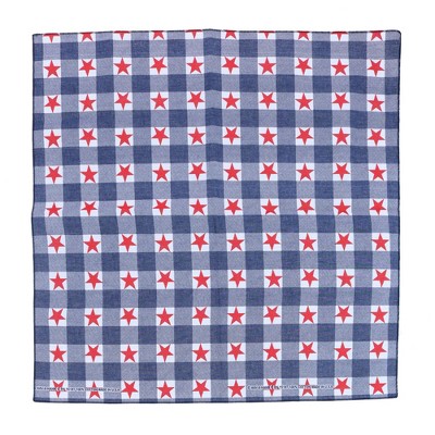 Ctm Life Preserver And Anchor Nautical Bandana, Navy : Target