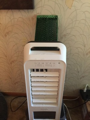 Frigidaire 2-in-1 Personal Evaporative Air Cooler And Fan, 250 Cfm's ...