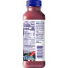 Naked Blue Machine Juice Smoothie - 15.2 Fl Oz : Target
