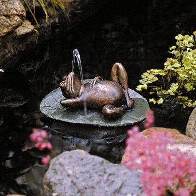 Sunnydaze Outdoor Solar Powered Ceramic Spitting Frog Water Fountain ...