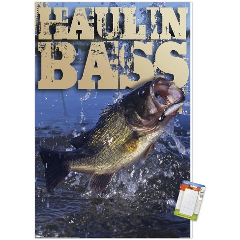 Trends International Big Bass Unframed Wall Poster Prints : Target