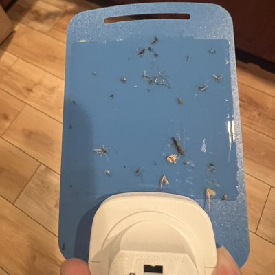 Stem Insect Light Trap: Indoor Electric Pest Control, Fruit Fly & Gnat ...