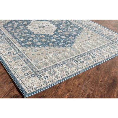 Rugs America Elise Oriental Transitional Area Rug : Target