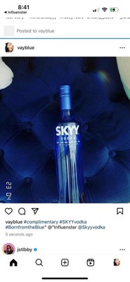 Skyy Vodka - 750ml Bottle : Target