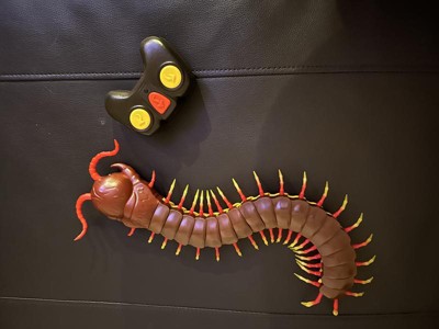 Terra By Battat Remote Control Centipede : Target