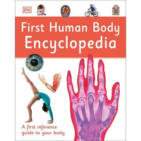 First Human Body Encyclopedia - (dk First Reference) By Dk (hardcover) : Target