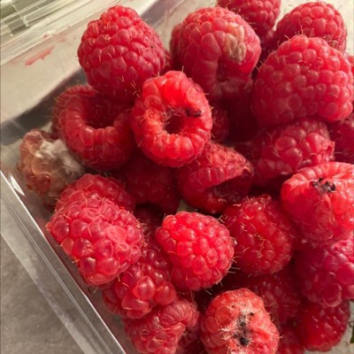 Organic Raspberries - 6oz : Target
