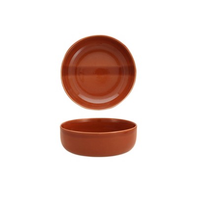 Fortessa Tableware Solutions 16pc Svelte Terracotta Dinnerware Set : Target