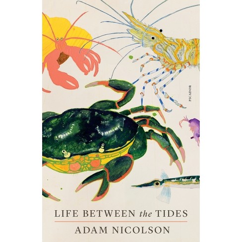 Life Between The Tides - By Adam Nicolson (paperback) : Target