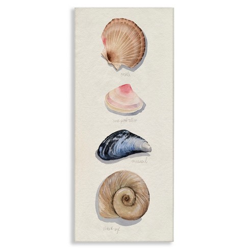 Stupell Industries Traditional Nautical Sea Shells, 13" X 30" : Target