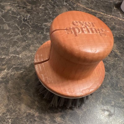 Palm Brush - Everspring™ : Target