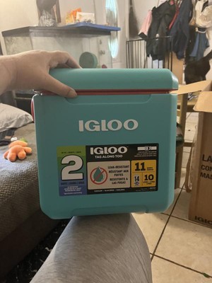 Igloo Tag Along Too 11 Quart Hard Sided Cooler - Blush : Target