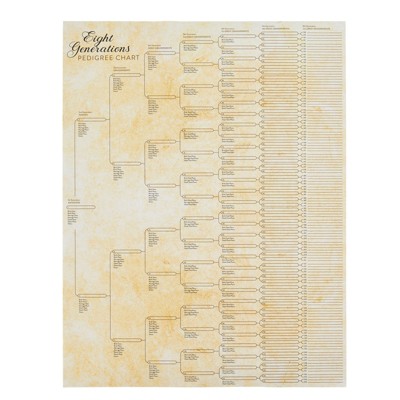 Family Tree Workbook - By Brian Sheffey (paperback) : Target