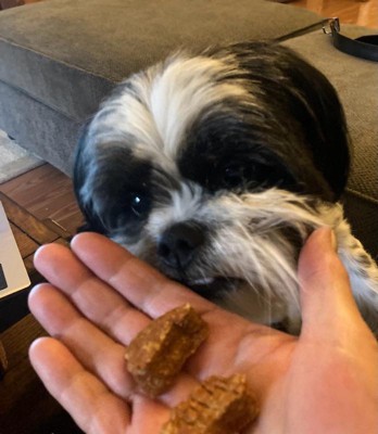 Rachael Ray Nutrish Savory Roasters Grain Free Chewy Chicken Dog Treats ...