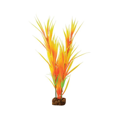Glofish Orange And Yellow Large Fluorescent Under Blue Led Light Decor ...