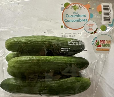 Mini Cucumbers - 16oz Bag - Good & Gather™ (packaging May Vary) : Target