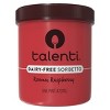 Talenti Dairy-free Frozen Roman Raspberry Sorbetto - 16oz : Target