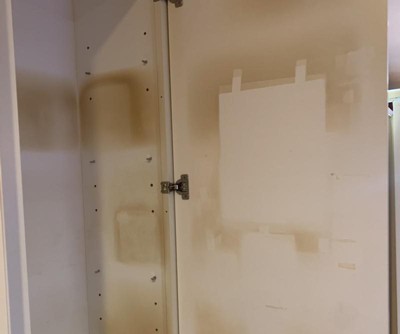 Scrub Daddy Tangerine Clean Natural Cleaning Paste - Fresh Orange Scent ...