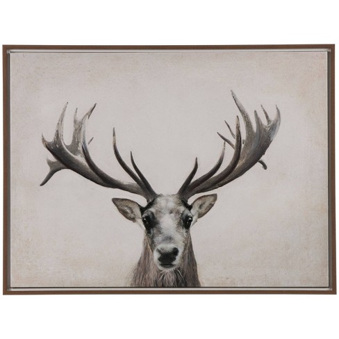 30"x40" Canvas Deer Gazing Framed Wall Art With Wood Frame Brown ...