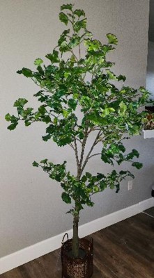 Vickerman 9' Artificial Potted Ginkgo Tree. In A 8"lx8"wx7"h Base. : Target