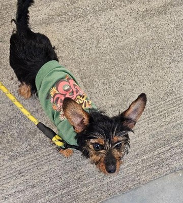 Freshpet Select Roll Tender Chicken And Vegetable Recipe Refrigerated ...