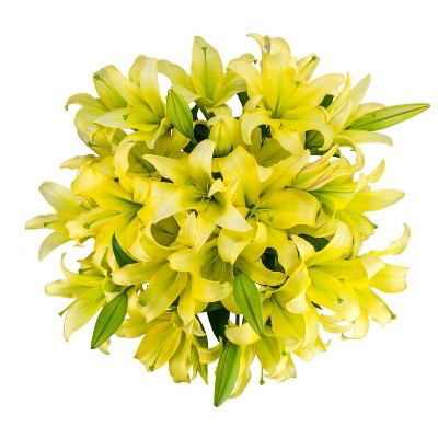 Fresh Cut White Oriental Lily Flowers - 30 Stems : Target