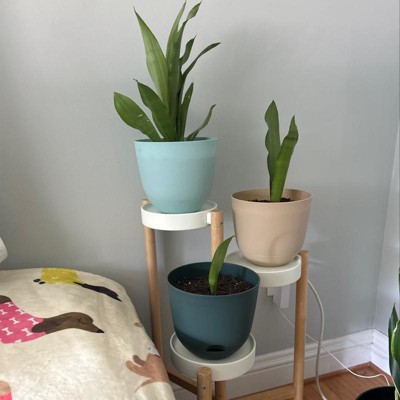 Self-watering Plastic Indoor Outdoor Planter Pot - Room Essentials ...