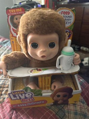 Little Live Pets My Baby Monkey - Mango : Target