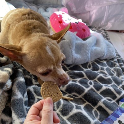 Three Dog Bakery Puppy Peanut Butter Dog Treats - 11.8oz : Target