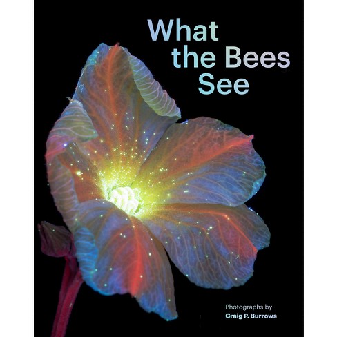 What The Bees See - By Craig P Burrows (hardcover) : Target