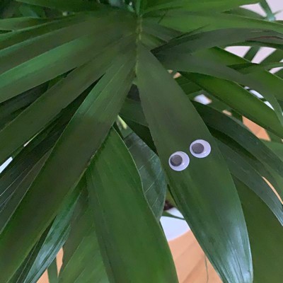 125ct Googly Eyes With Sticker Back Black - Mondo Llama™ : Target