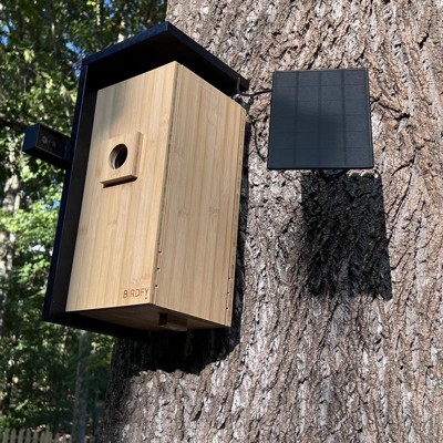 Birdify Nest Natural Bamboo Dual Hd Mounted Camera 17" Hopper Feeder ...