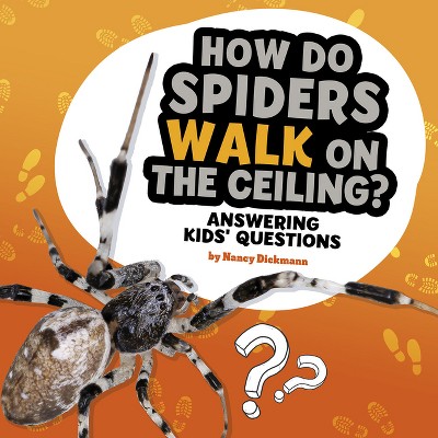 How Do Spiders Walk On The Ceiling? - (questions And Answers About ...