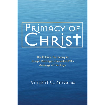 Contemplating Christ - By Vincent Pizzuto (paperback) : Target