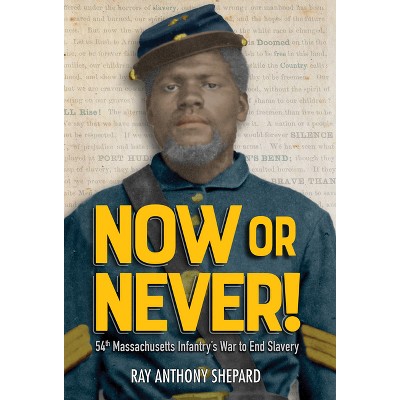 Now Or Never! - By Ray Anthony Shepard (hardcover) : Target