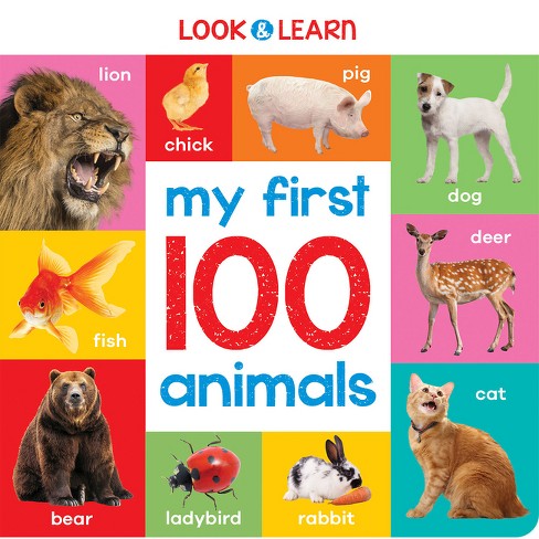 My First 100 Animals - (padded Board Books) By Nat Lambert (board Book ...